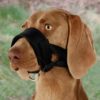 Trixie Dog Muzzle Loop - with Extra Soft Neoprene Padding - HugglePets