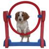Rosewood Small Dog Agility Hoop - Training - HugglePets