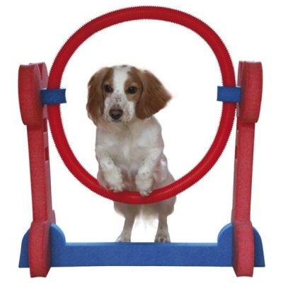 Rosewood Small Dog Agility Hoop - Training - HugglePets