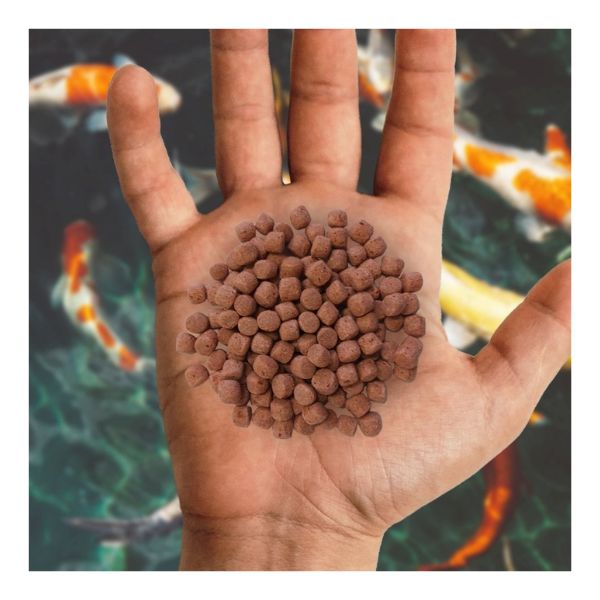 Nishikoi Growth Fish Pellets - Fish Food - HugglePets