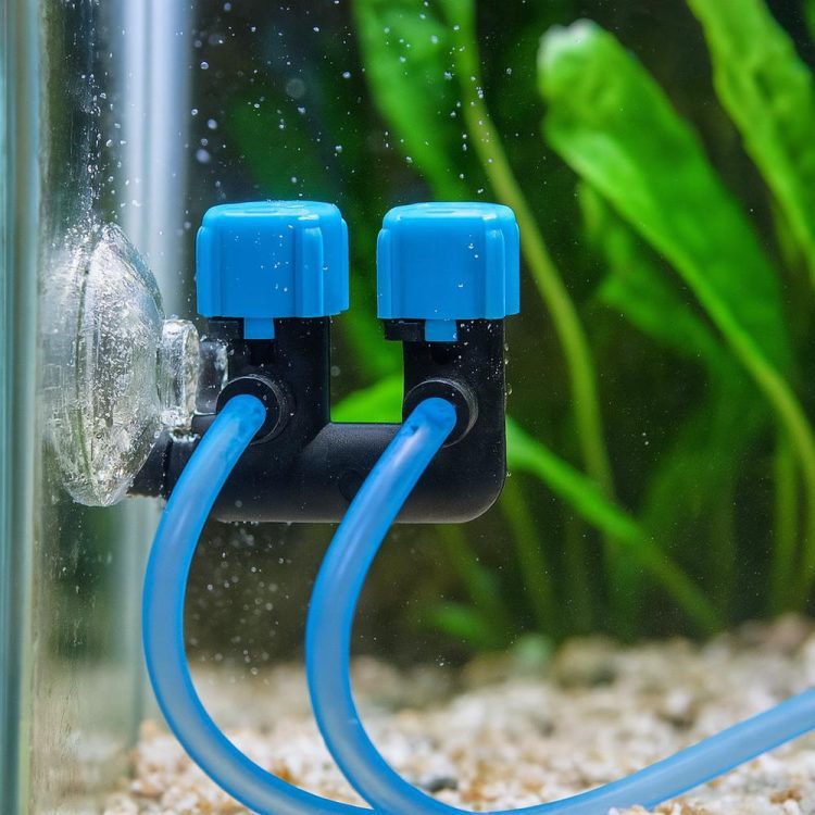 Aqua One Gang Valve - Aquarium Air Flow Control - HugglePets